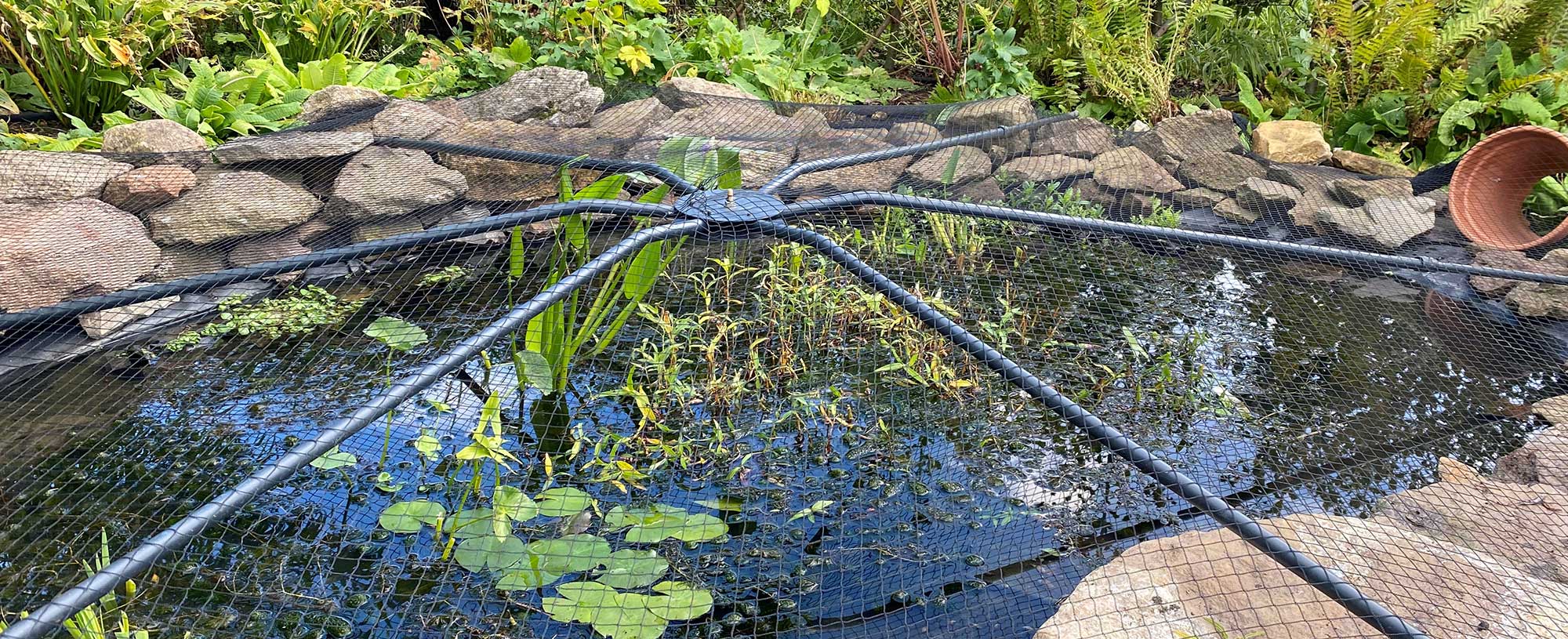 Pond Covers & Netting | Agriframes
