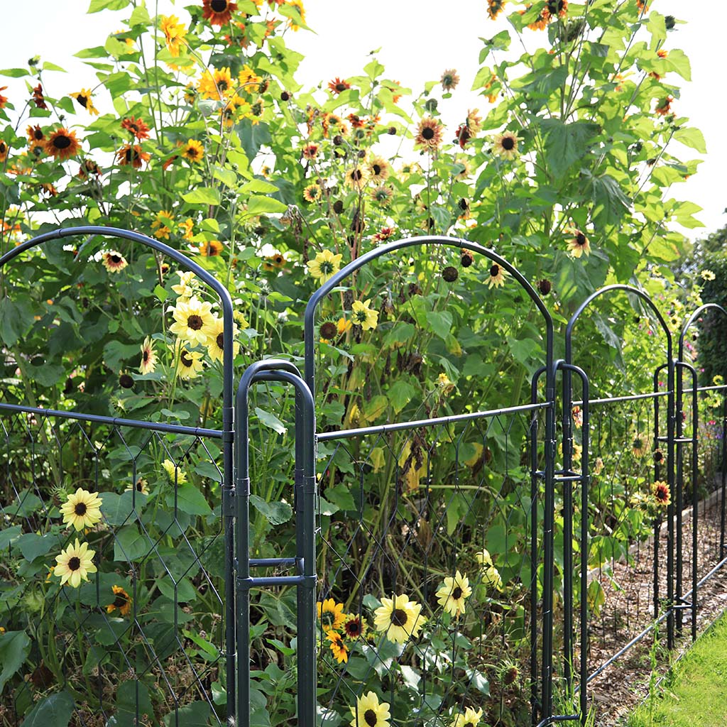 Monet Screen | Garden Screens | Agriframes – Agriframes UK