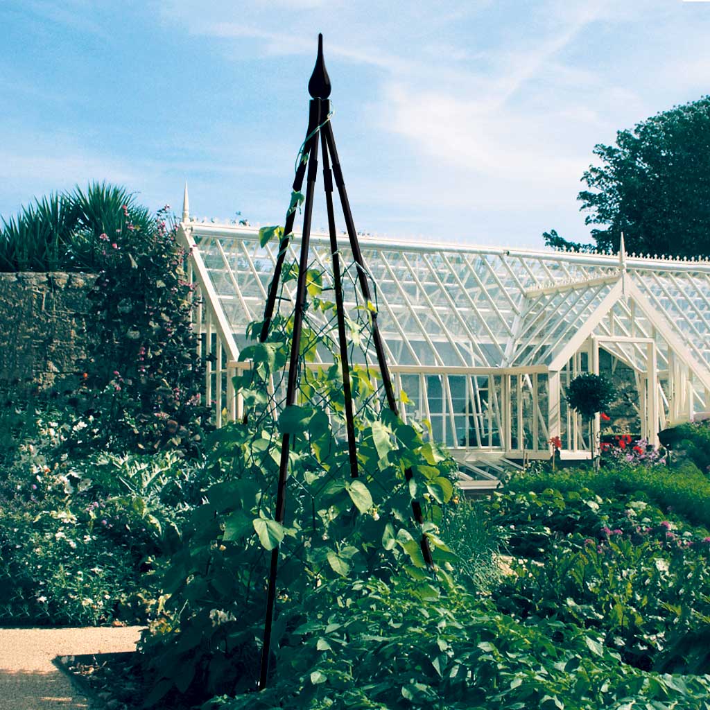 Pyramid Frame | Plant Frames & Supports | Agriframes – Agriframes UK