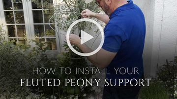 Fluted Peony Support | Plant Frames And Supports | Agriframes