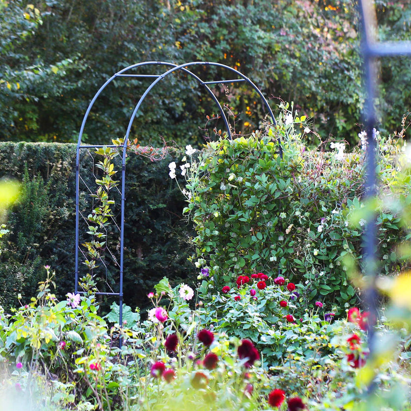 Using Lattice on Agriframes Structures: A Flexible Growing Solution