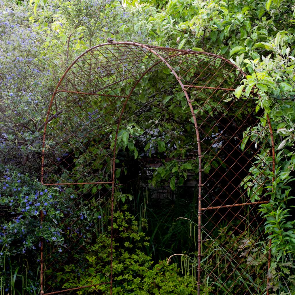Elegance Round Garden Arch | Garden Arches | Agriframes