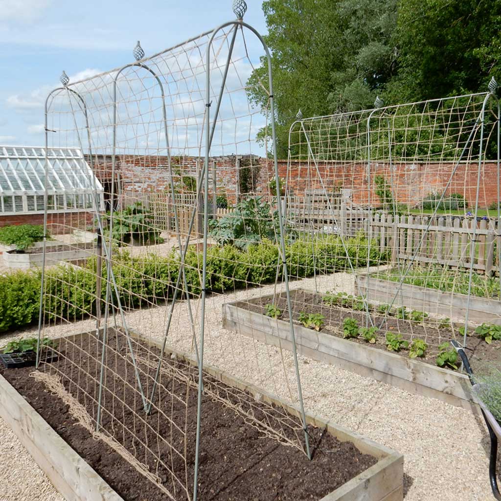 Elegance Runner Bean Frame | Plant Frames And Supports | Agriframes