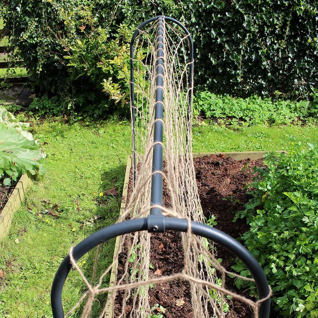 Pea & Bean Hoops | Plant Frames And Supports | Agriframes