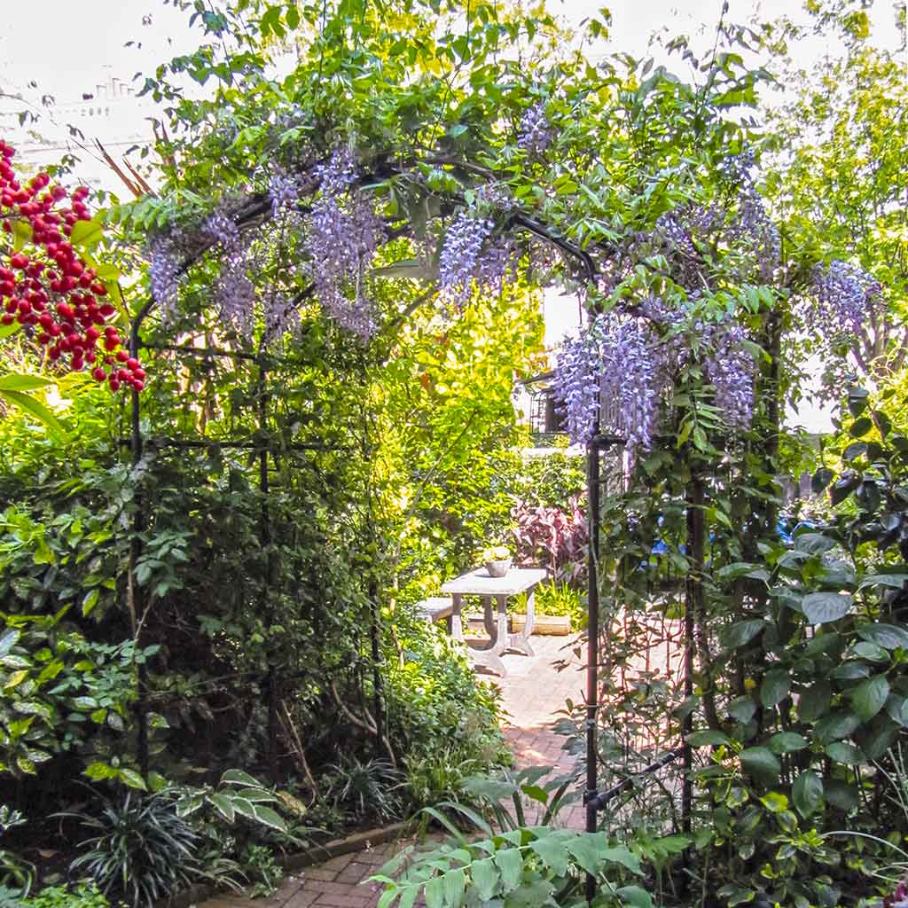 Garden Metal Vine Trellis