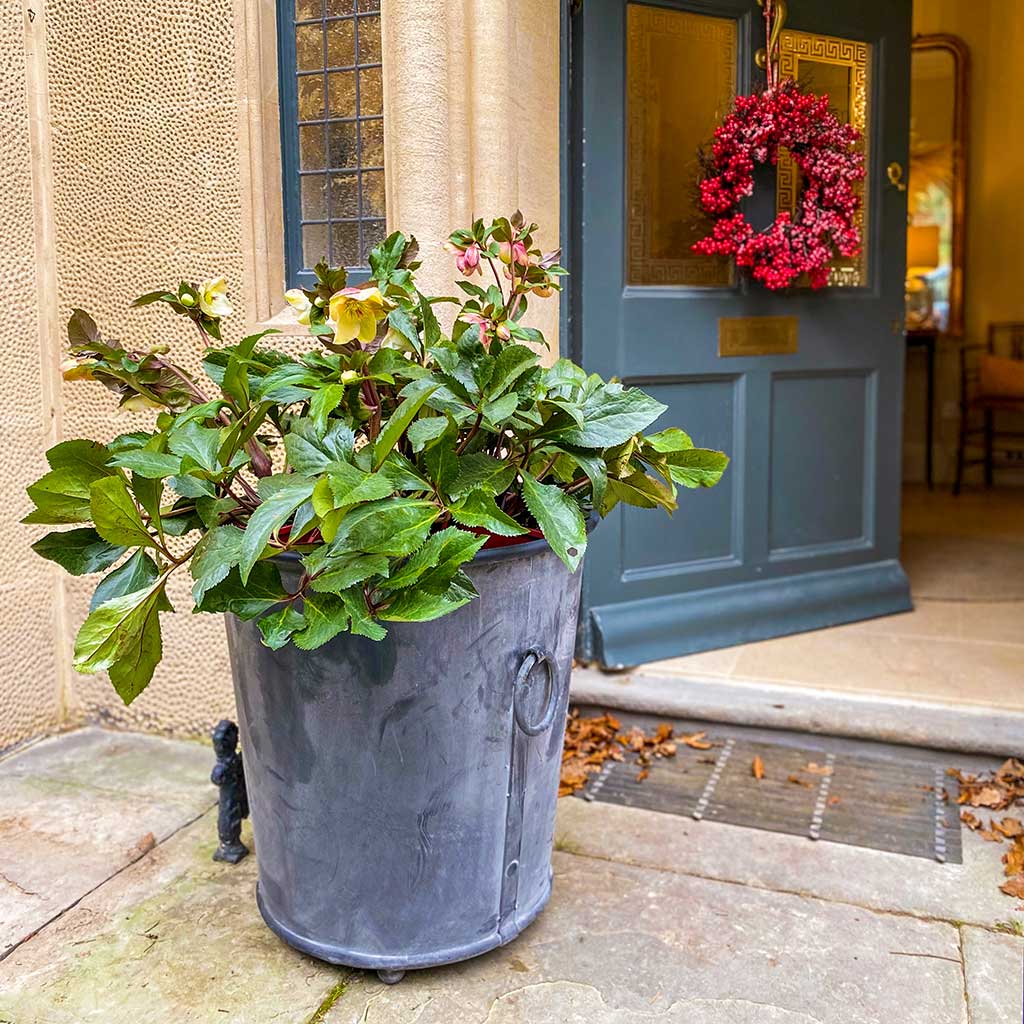 Classic Zinc Planter | Decorative Planters | Agriframes