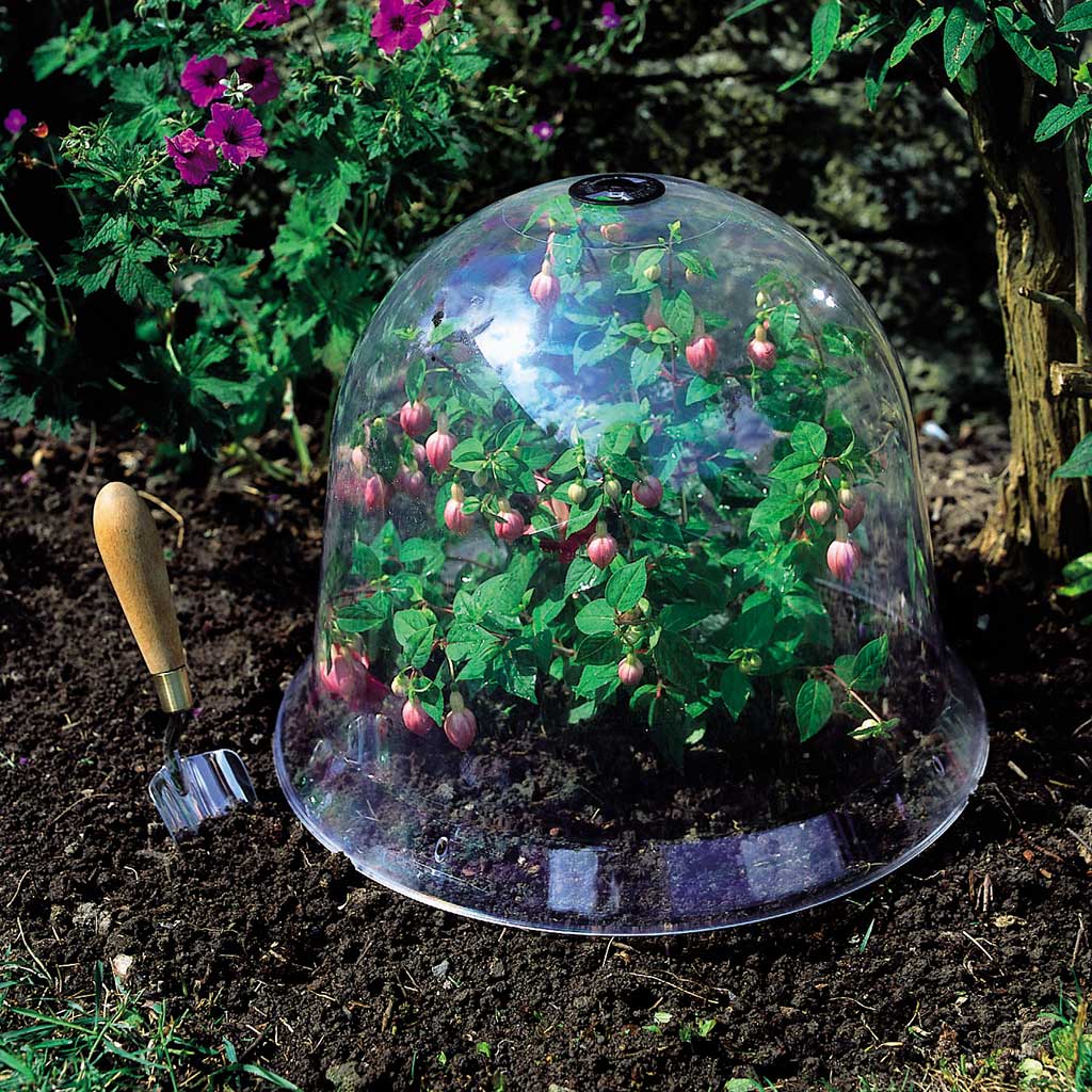 Extra Large Garden Cloche Harrod Longrow Cloche Harrod Horticultural