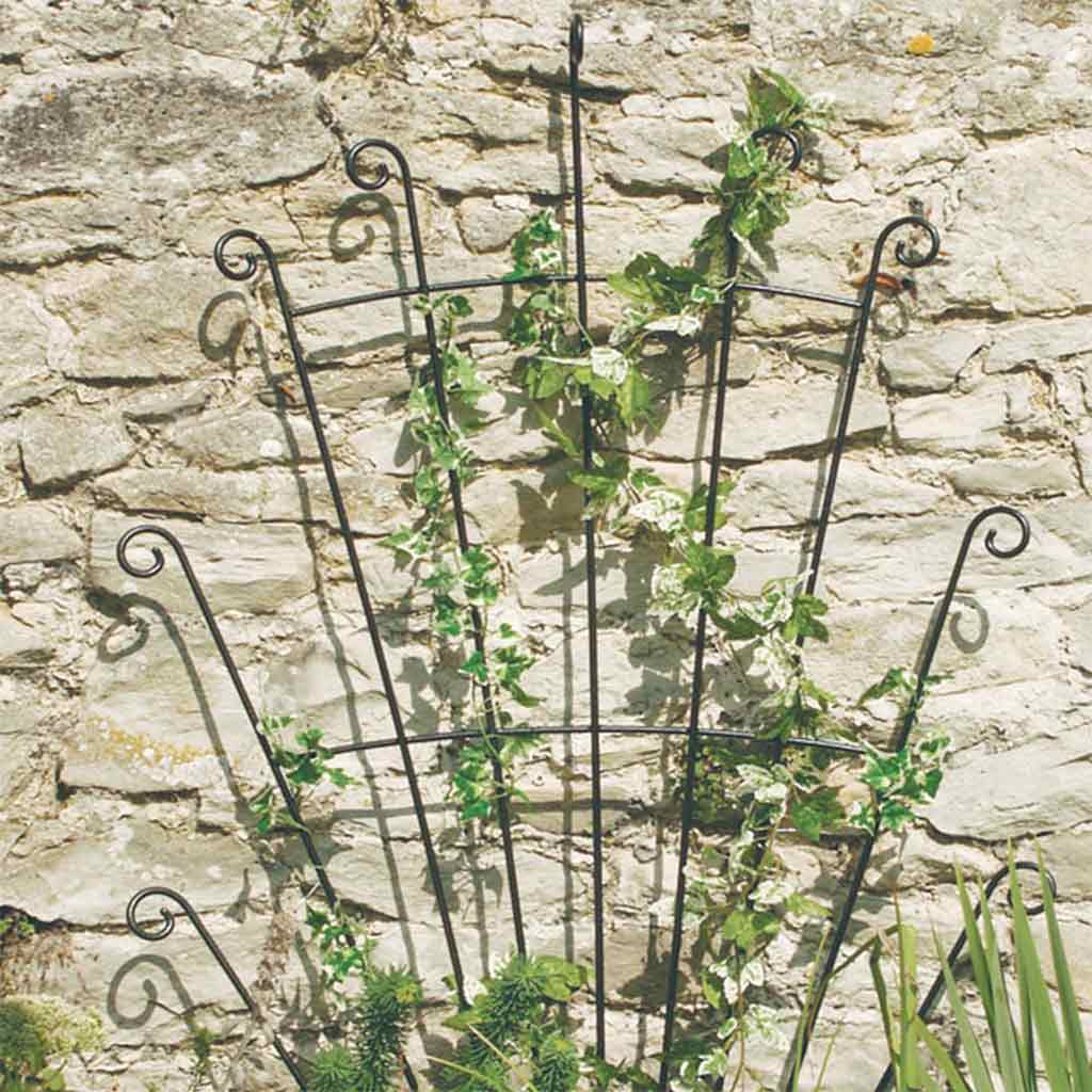 Peacock Trellis | Garden Trellis | Agriframes