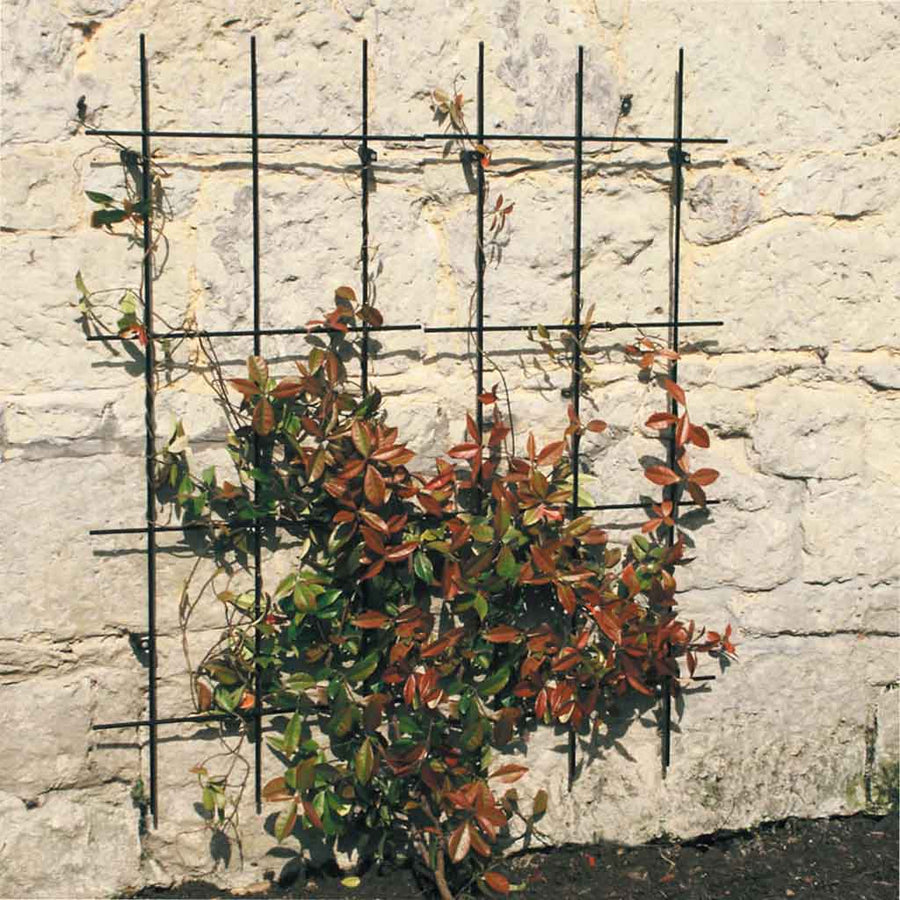 Square Trellis | Garden Trellis | Agriframes