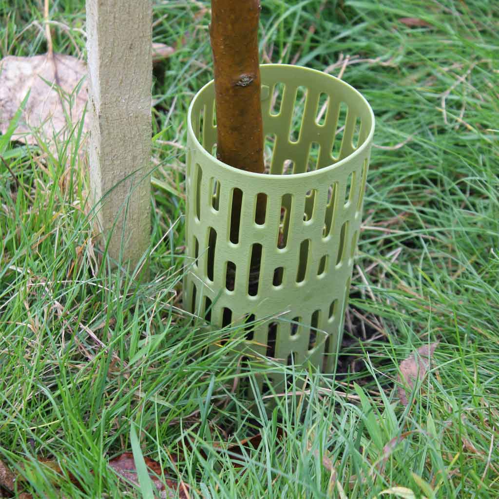 Strim Guard | Garden Tools & Accessories | Agriframes – Agriframes UK